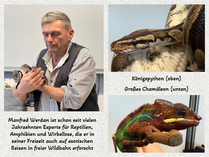 Amphibien- und Reptilienvortrag in den 6. Klassen 2023 – Carl-Spitzweg ...